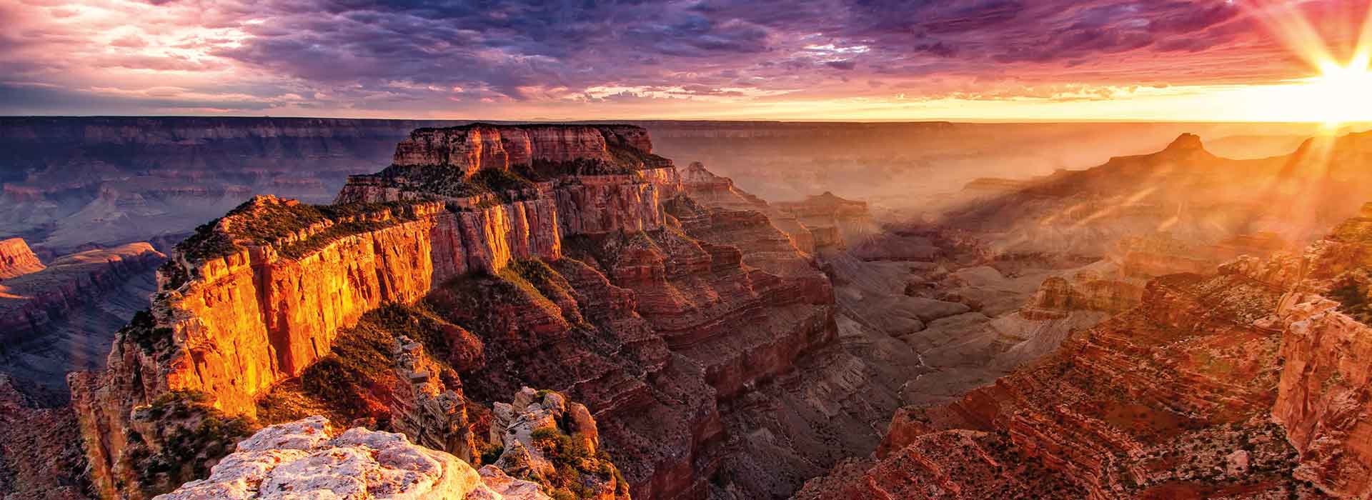 REX MAUGHAN: L’HISTOIRE DES DEUX LAPINS - Forever Yours - Das Magazin