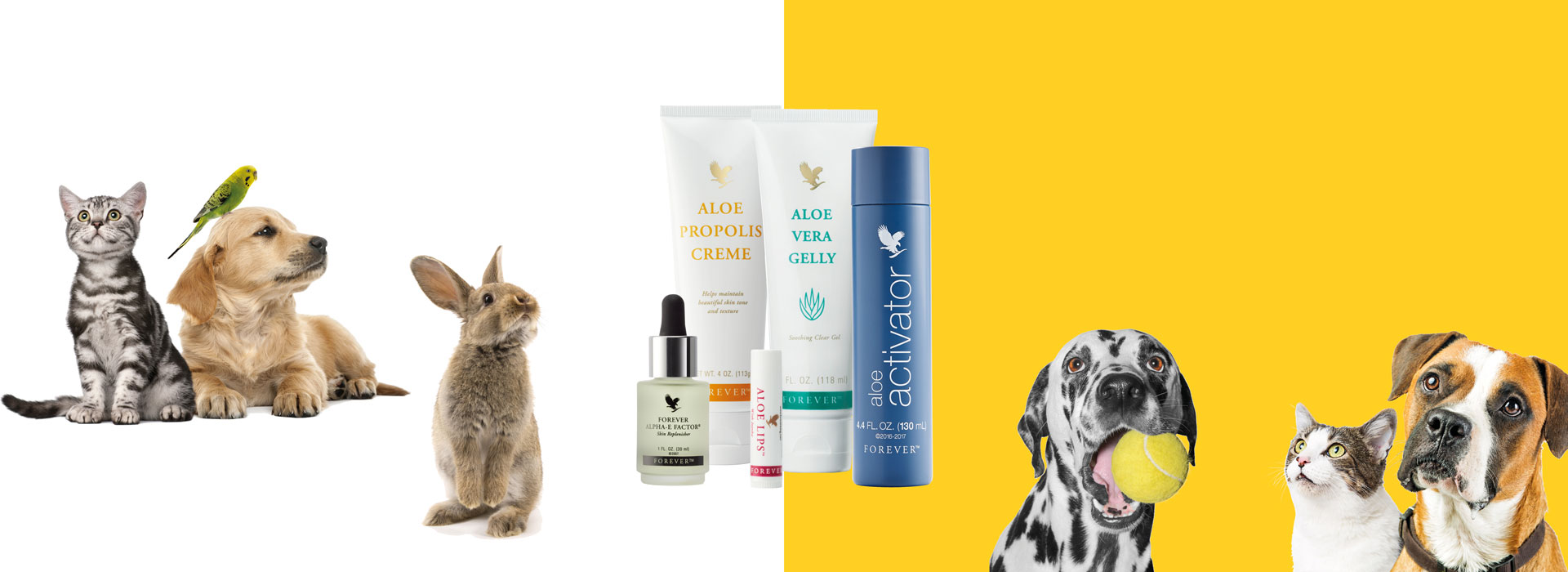 ALOE VERA: POUR LE BIEN-ÊTRE DES ANIMAUX