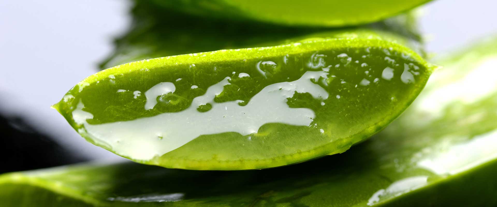 Die beste Aloe Vera kommt von Forever: Aloe Vera Vergleich